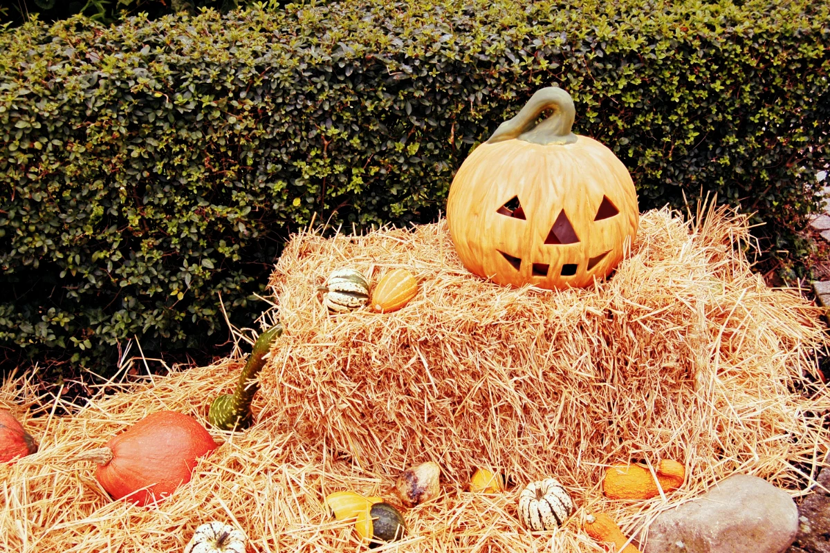 Transform Your Patio for Fall: DIY Decor and Lighting Ideas - ParentSavvy
